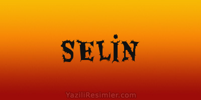 Şekilli SELİN Yazıları – Yazılı Resimler