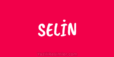 Şekilli SELİN Yazıları – Yazılı Resimler