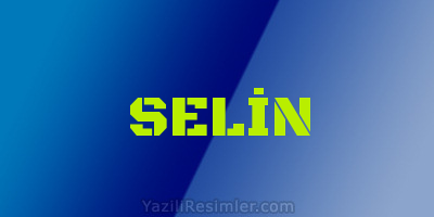 Şekilli SELİN Yazıları – Yazılı Resimler